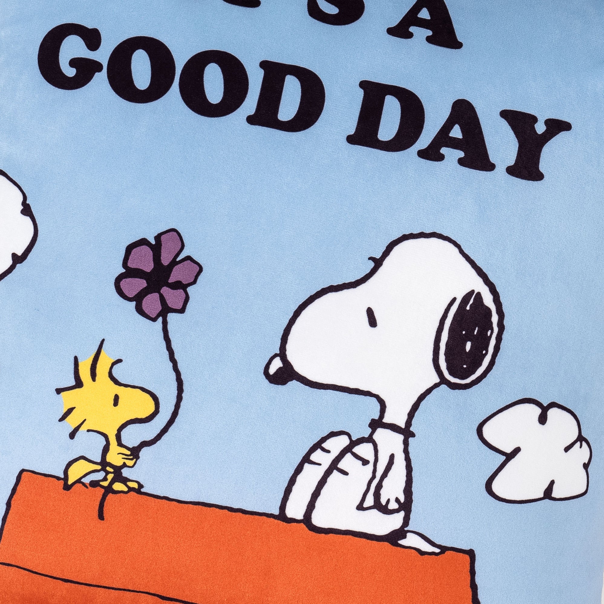 Peanuts Snoopy Housse de Coussin 47 x 47cm Bonne Journée– Big Bertha ...